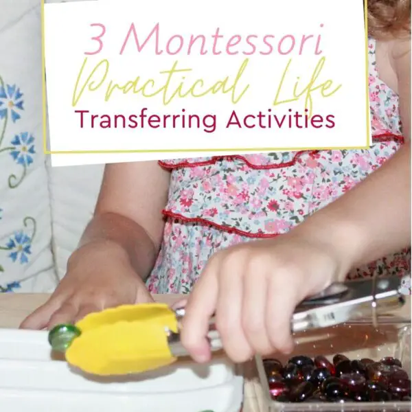 Montessori Practical Life Peace Table - Master the Montessori Life