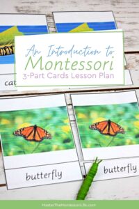 An Introduction to Montessori 3-Part Cards - Master the Montessori Life