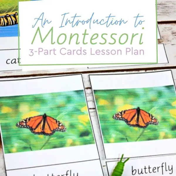 Montessori Sensorial Color Activities for Kids - Master the Montessori Life