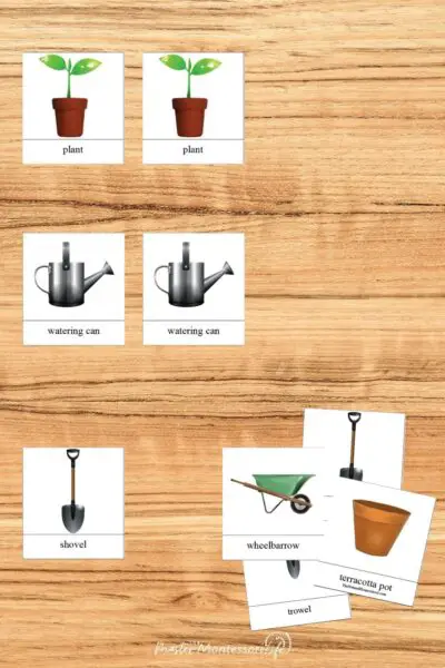 An Introduction to Montessori 3-Part Cards - Master the Montessori Life