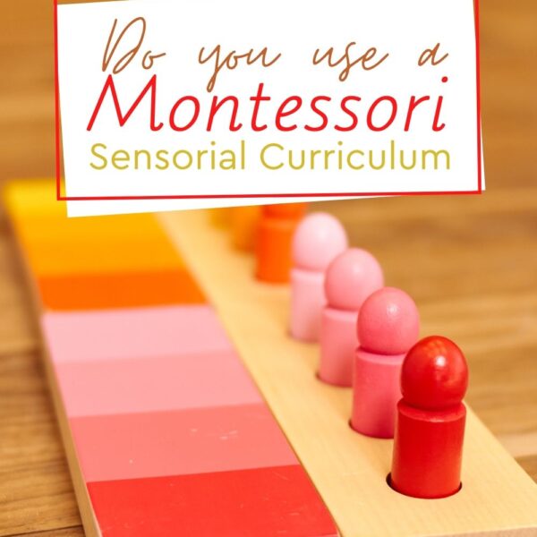 Montessori Sensorial Color Activities - Master the Montessori Life