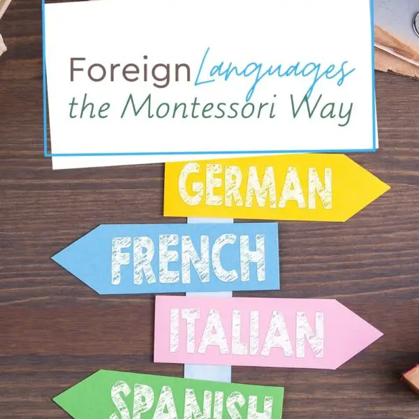 Beginner Montessori Color Activities for Box 1 - Master the Montessori Life