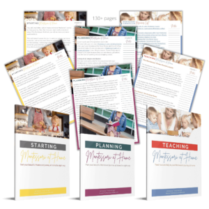 Homepage - Master the Montessori Life
