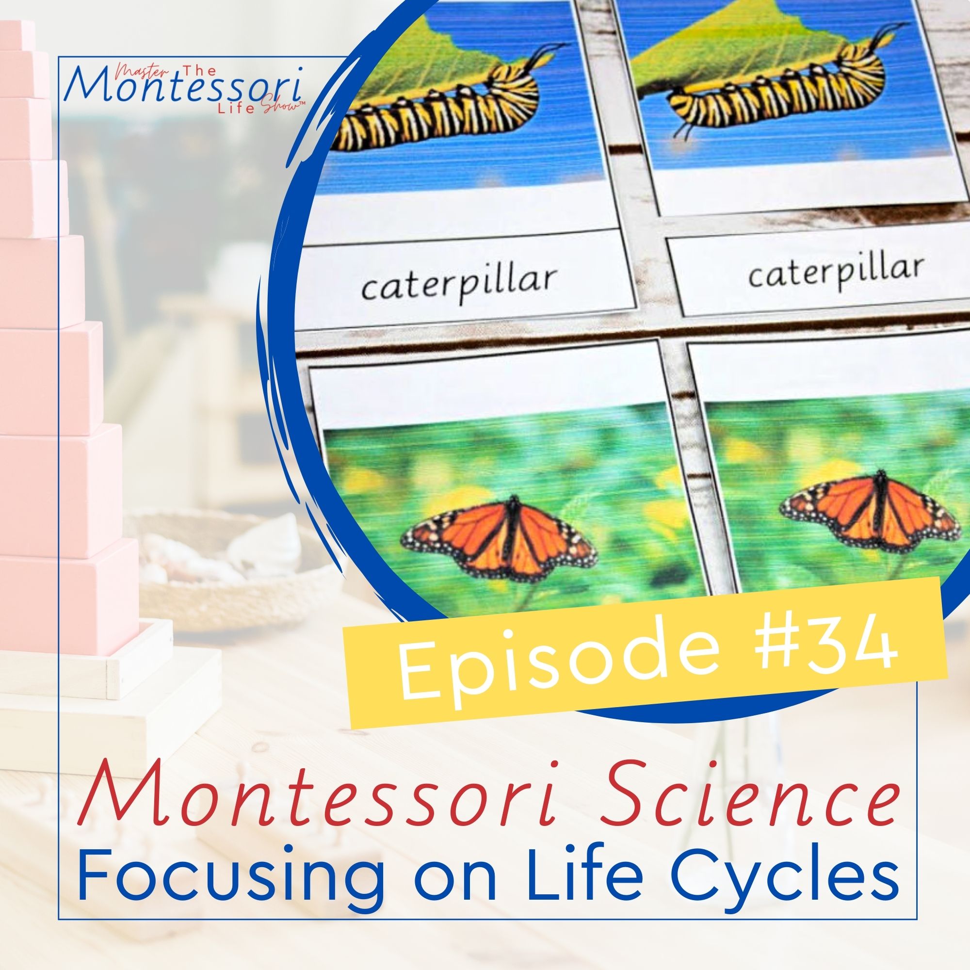 Episode 34: Montessori Science: Focusing on Life Cycles