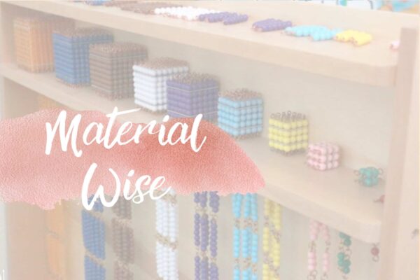 The Montessori Way Foundations Framework - Master the Montessori Life