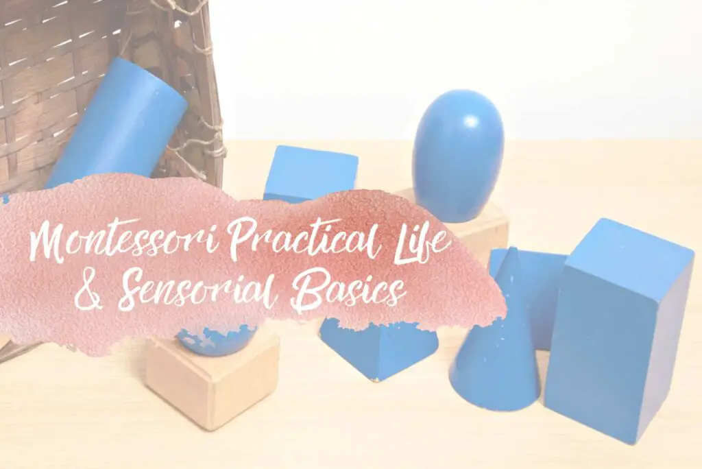 The Montessori Way Foundations Framework - Master the Montessori Life