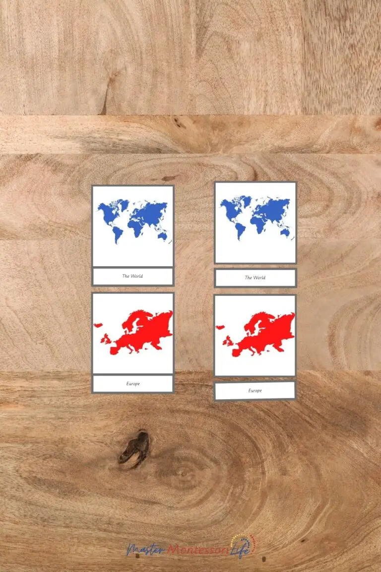 8 Easy Montessori Culture Activities - Master the Montessori Life