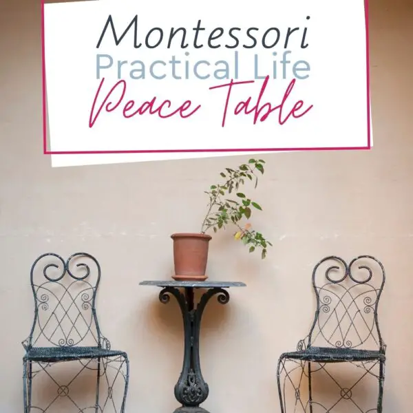 How to start Montessori at home - Master the Montessori Life