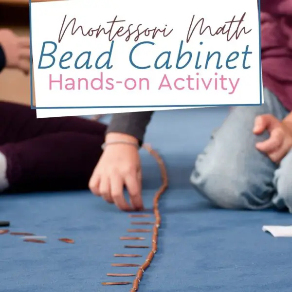 Montessori Math Bead Cabinet Hands-on Activity
