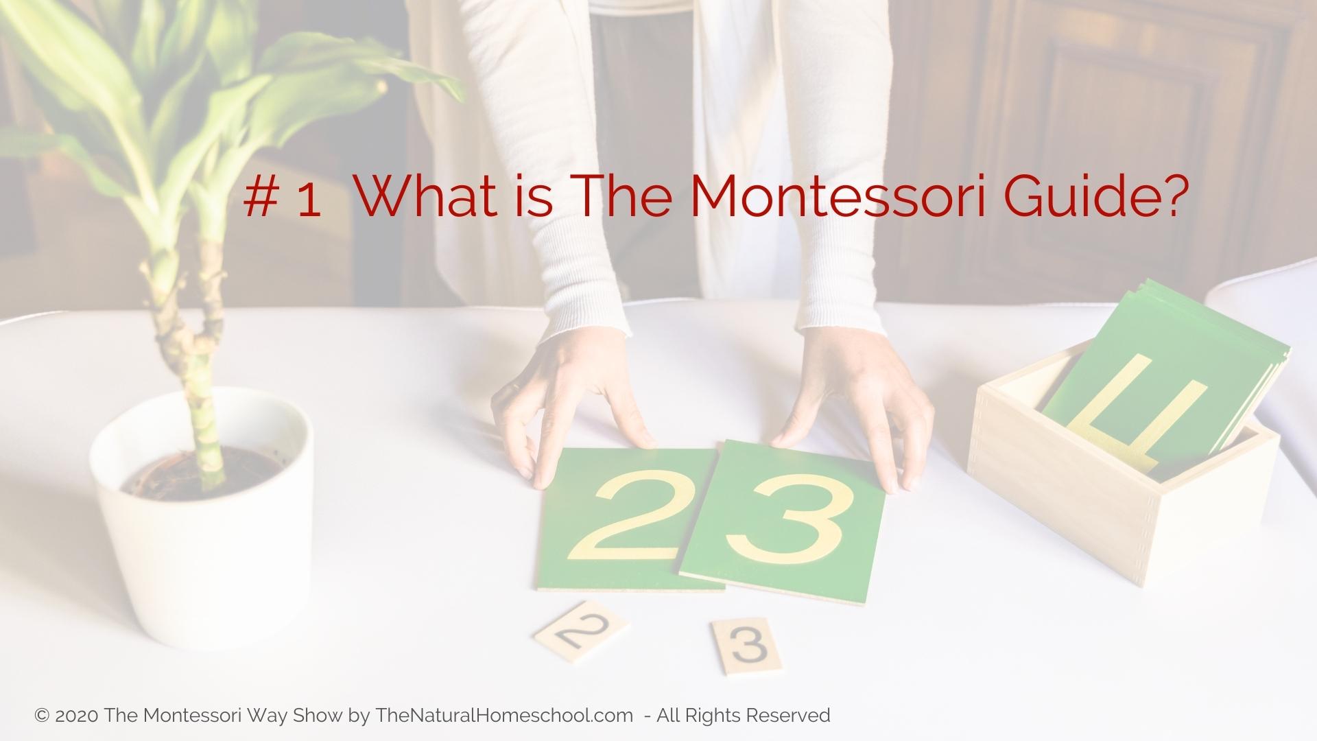 Remember: You Are the Montessori Guide
