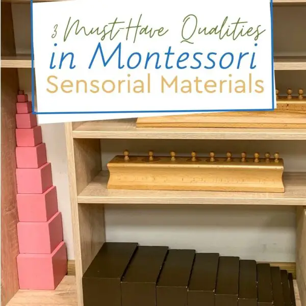 Beginner Montessori Color Activities for Box 1 - Master the Montessori Life