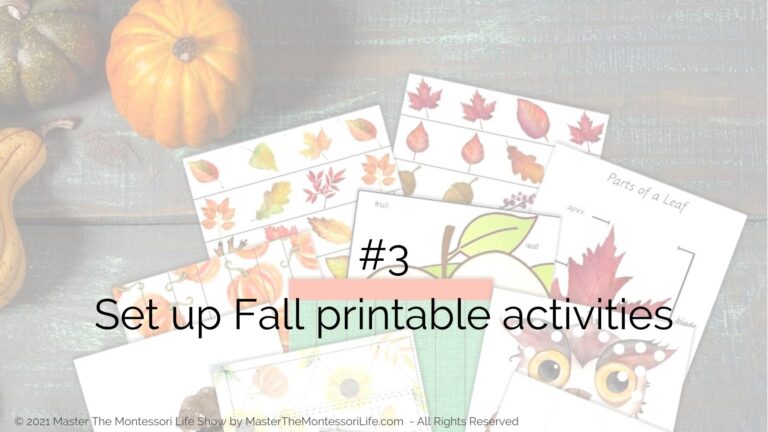 Tips to incorporate Fall into your Montessori environment