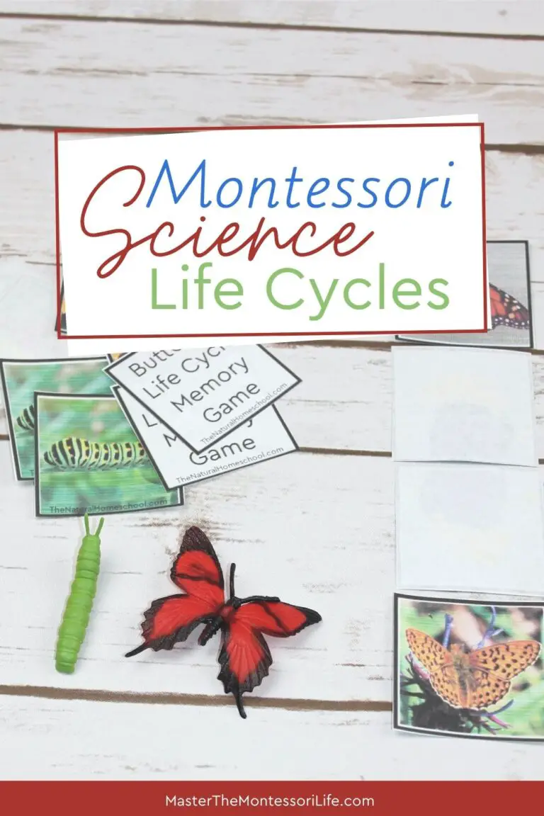 Montessori Science Life Cycles - Master the Montessori Life