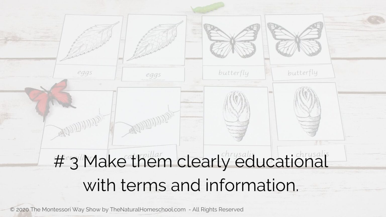 Montessori Science Life Cycles - Master the Montessori Life
