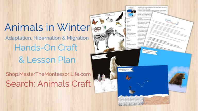 3 Winter-Themed Fine Motor Skills Hands-on Activities