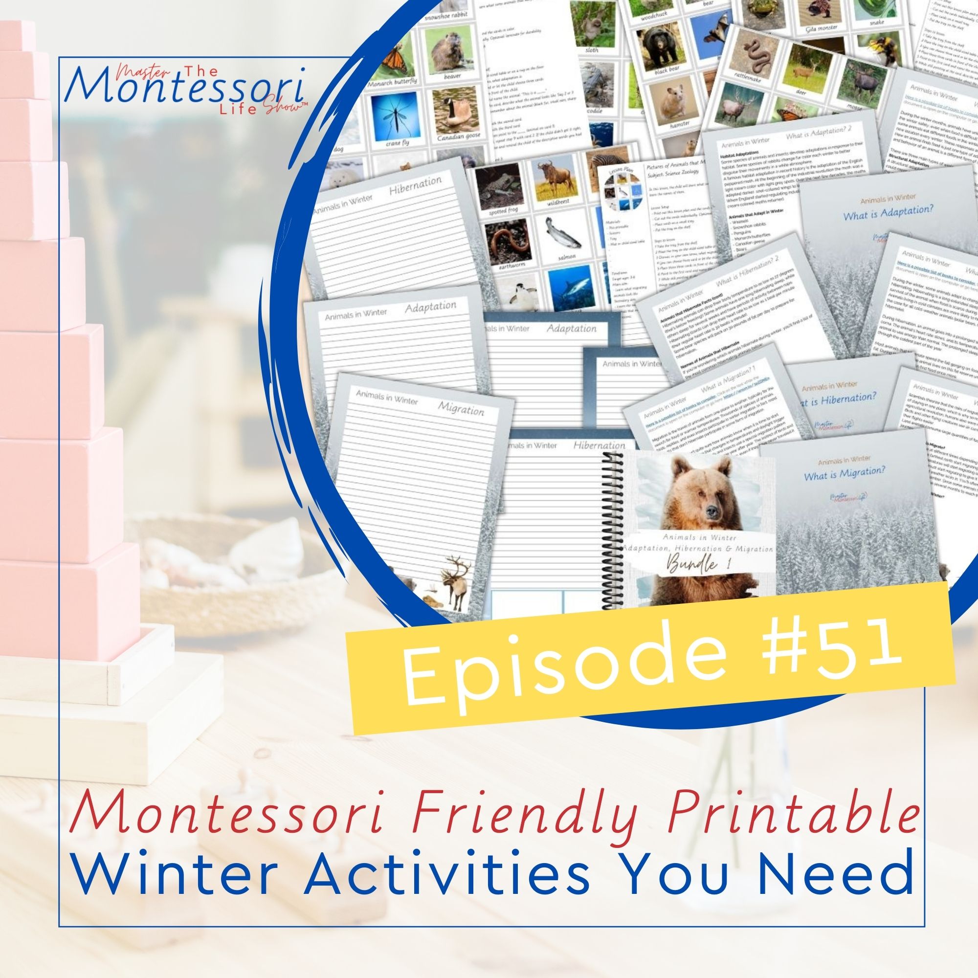 Episode 51: Montessori Friendly Printable Winter Activities You Need