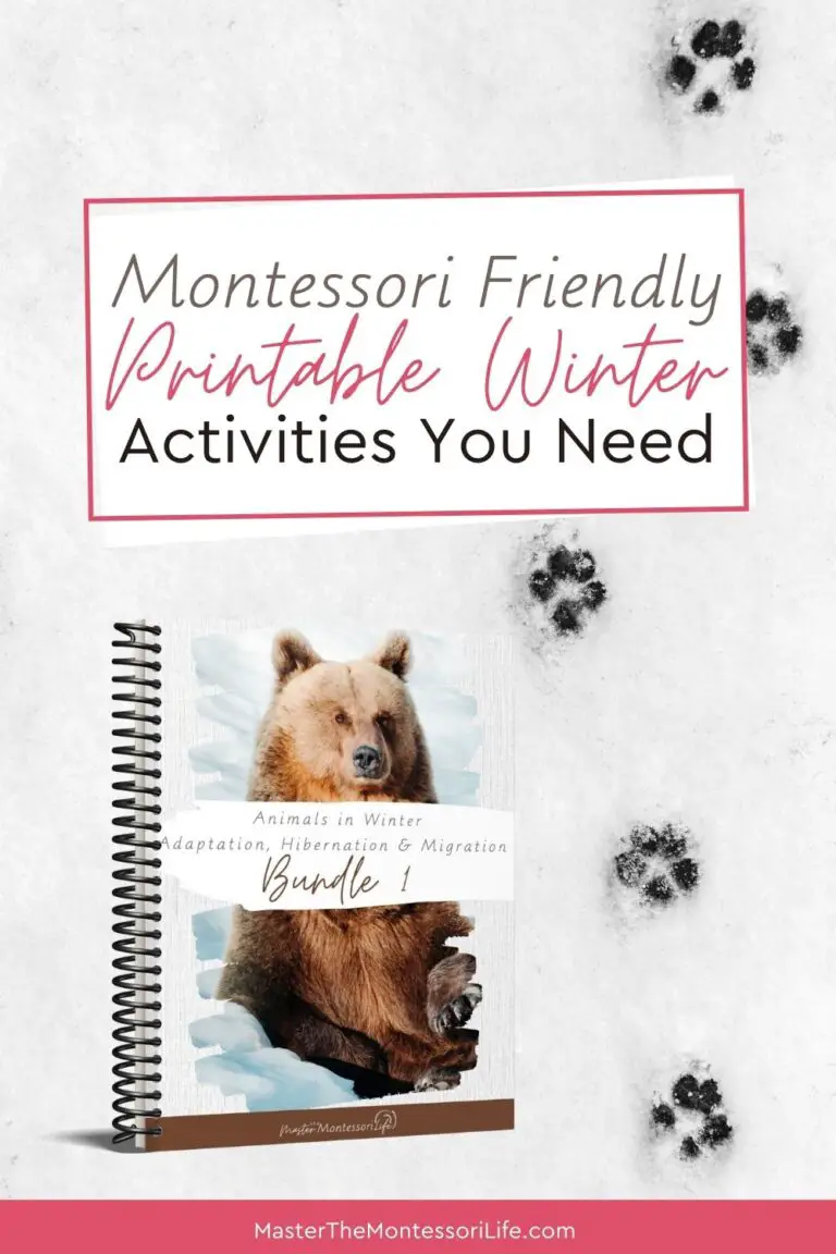 Montessori Friendly Printable Winter Activities You Need - Master the ...