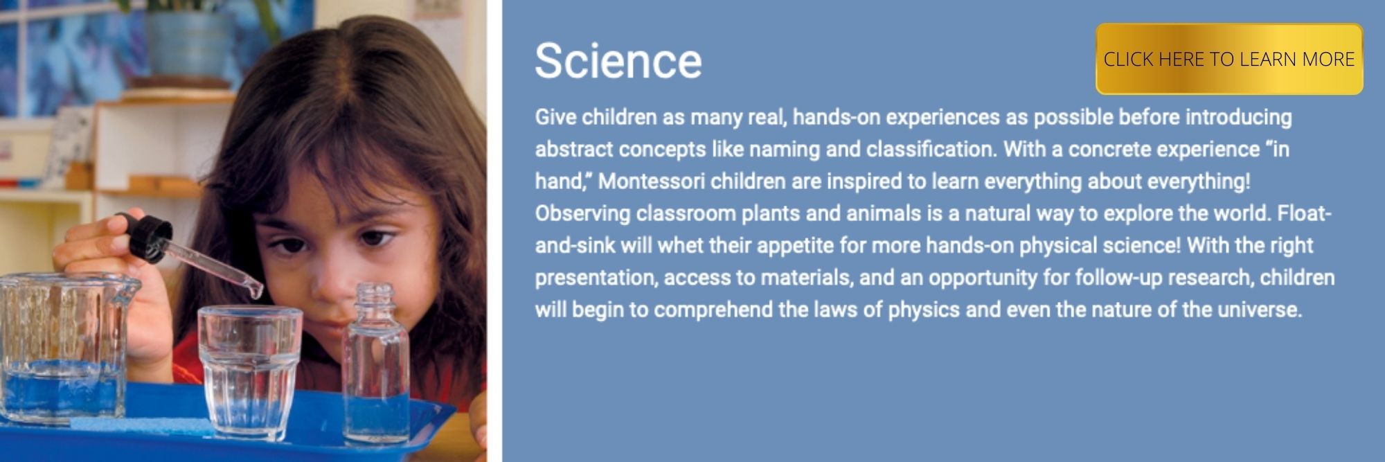 Introduce Hibernation, Migration and Adaptation to Children - Master ...