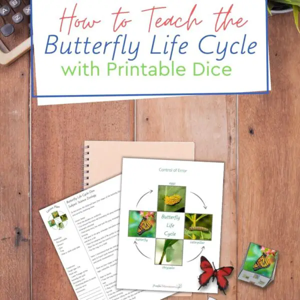 Montessori Life Cycle of a Butterfly 3-Part Cards