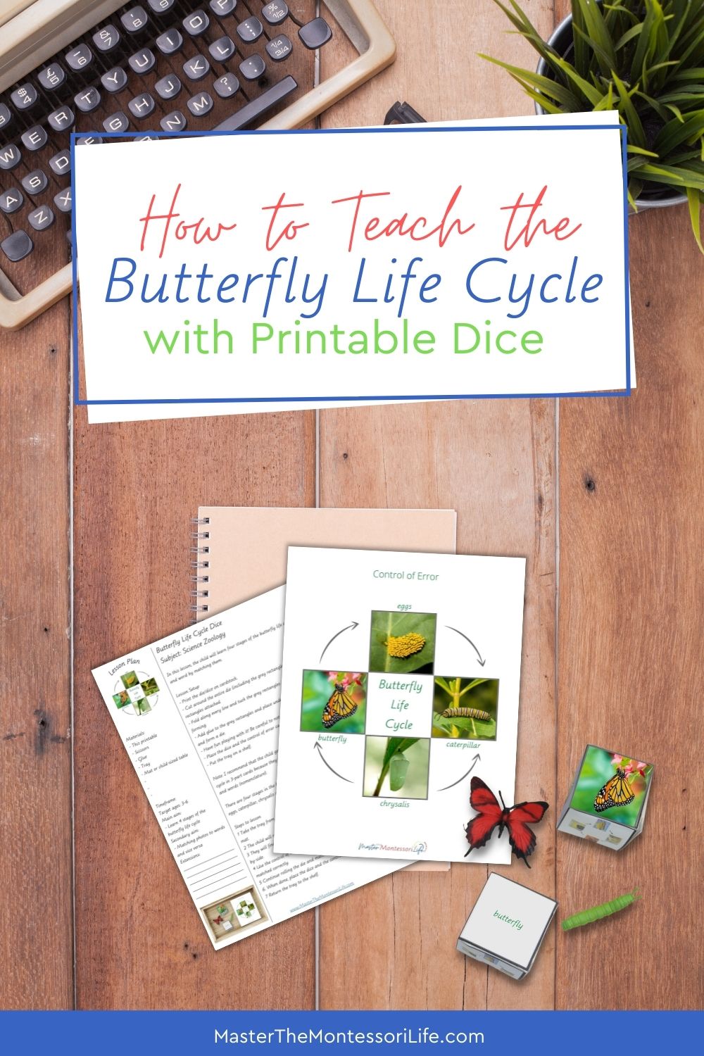 How to Teach the Butterfly Life Cycle with Printable Dice - Master the ...