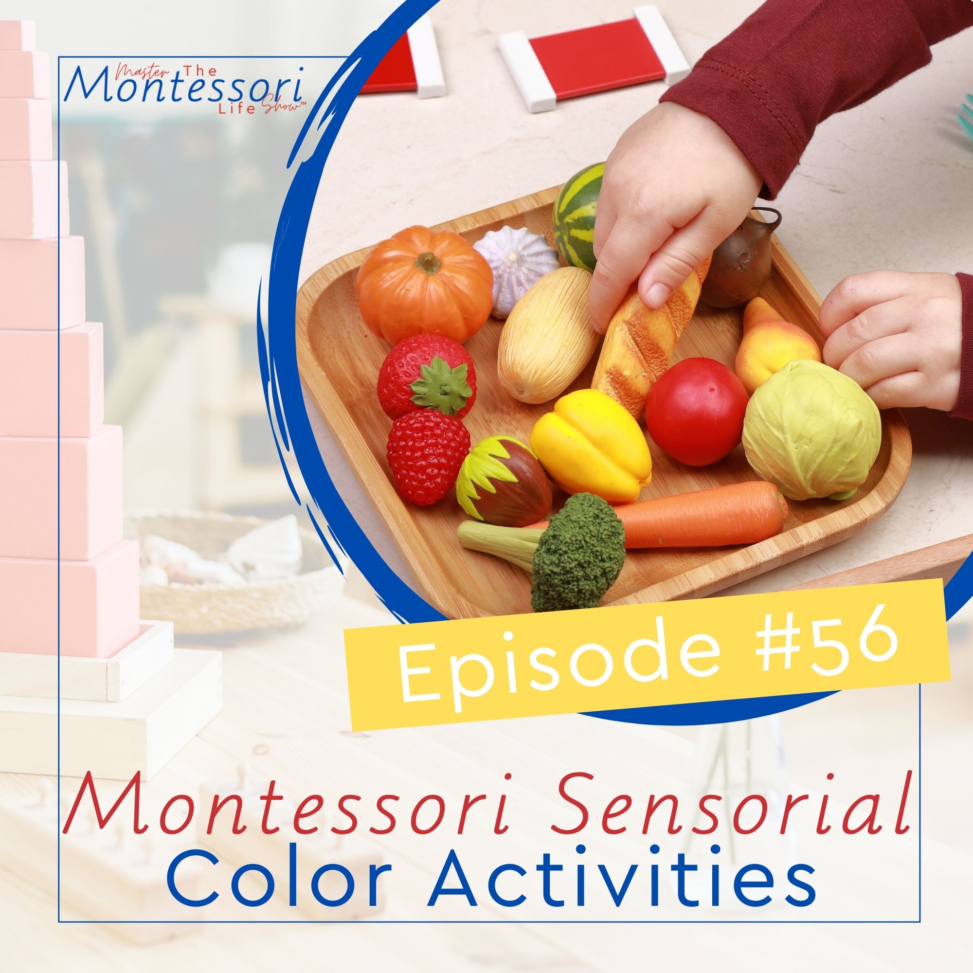 Episode 56: Montessori Sensorial Color Activities