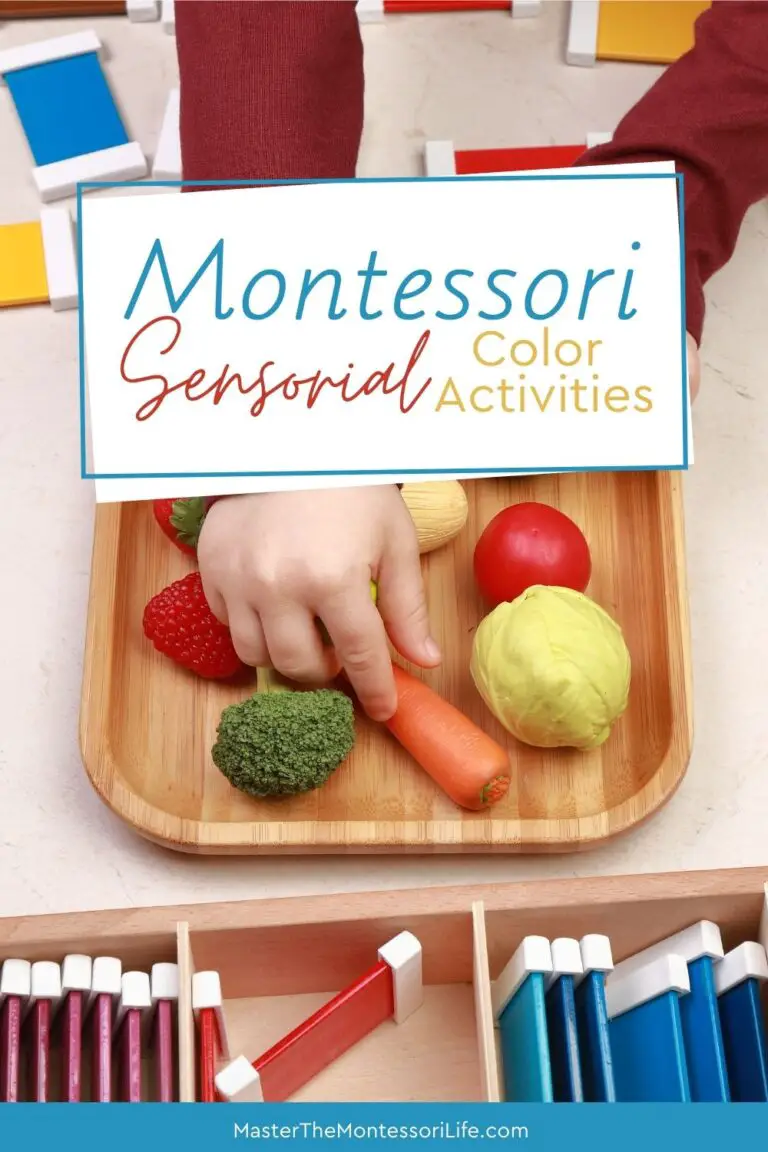 Montessori Sensorial Color Activities - Master the Montessori Life