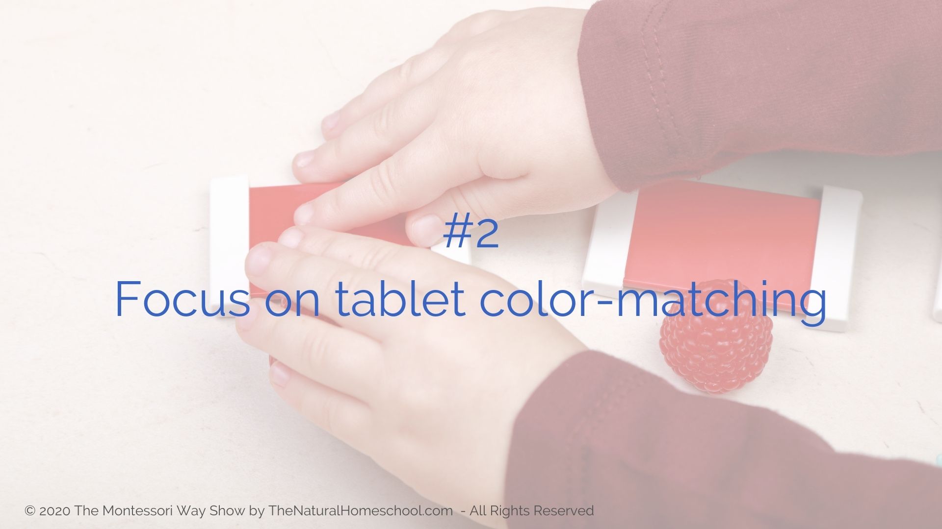 Montessori Sensorial Color Activities - Master the Montessori Life