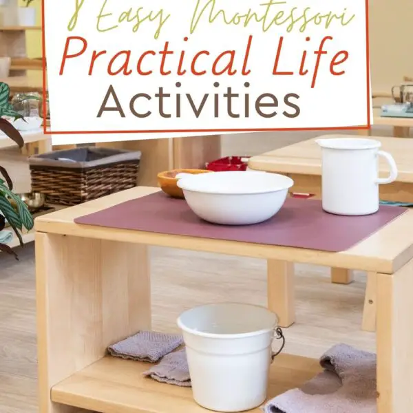 Montessori Practical Life Peace Table - Master the Montessori Life