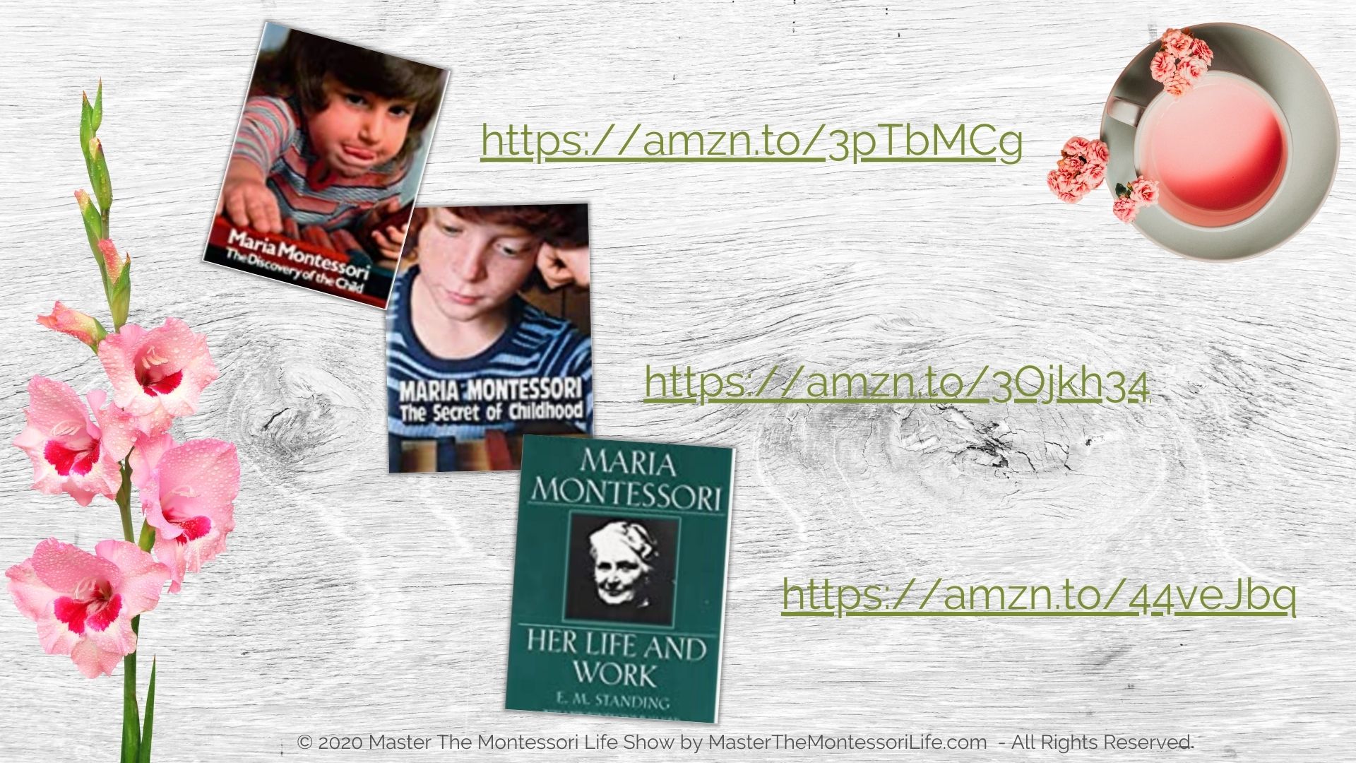 Montessori books that you must have (Part 2)