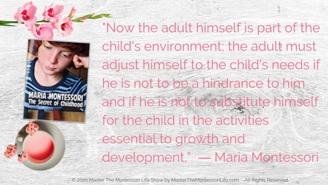 Montessori books that you must have (Part 2)