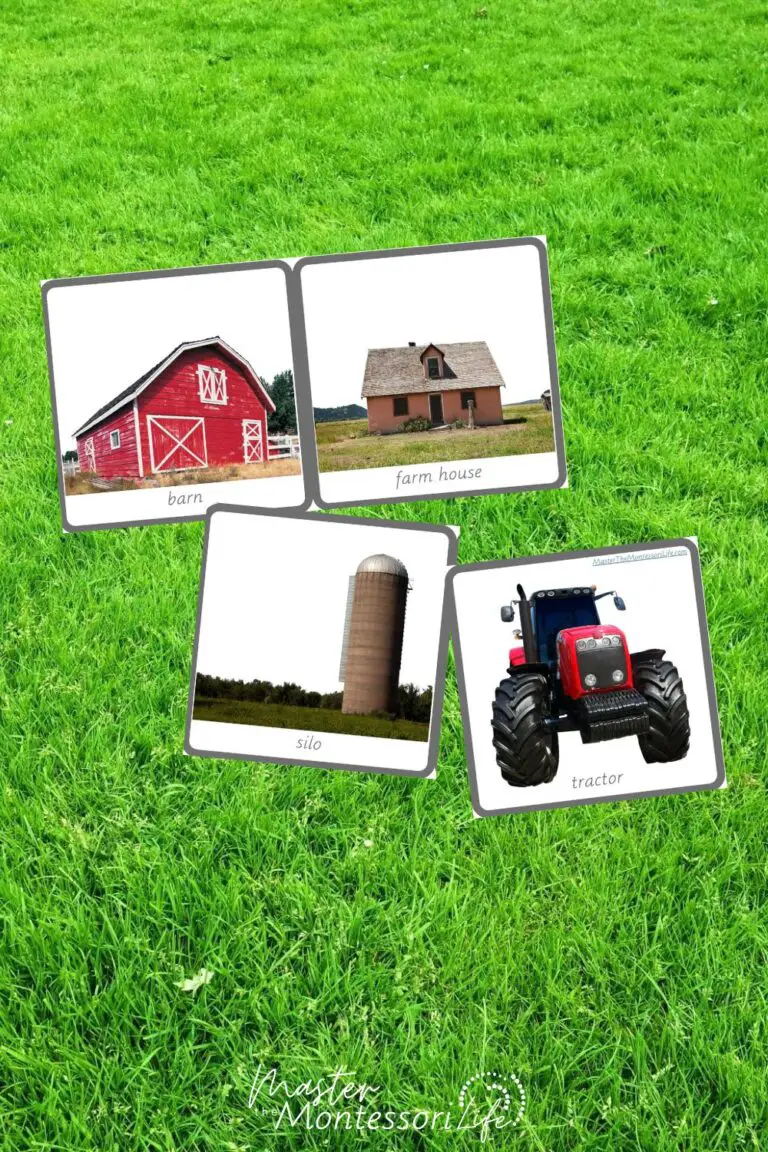 Teach Nouns using the Montessori Method