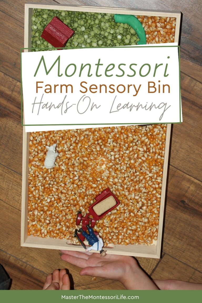 Montessori Farm Sensory Bin: Hands-On Learning - Master the Montessori Life